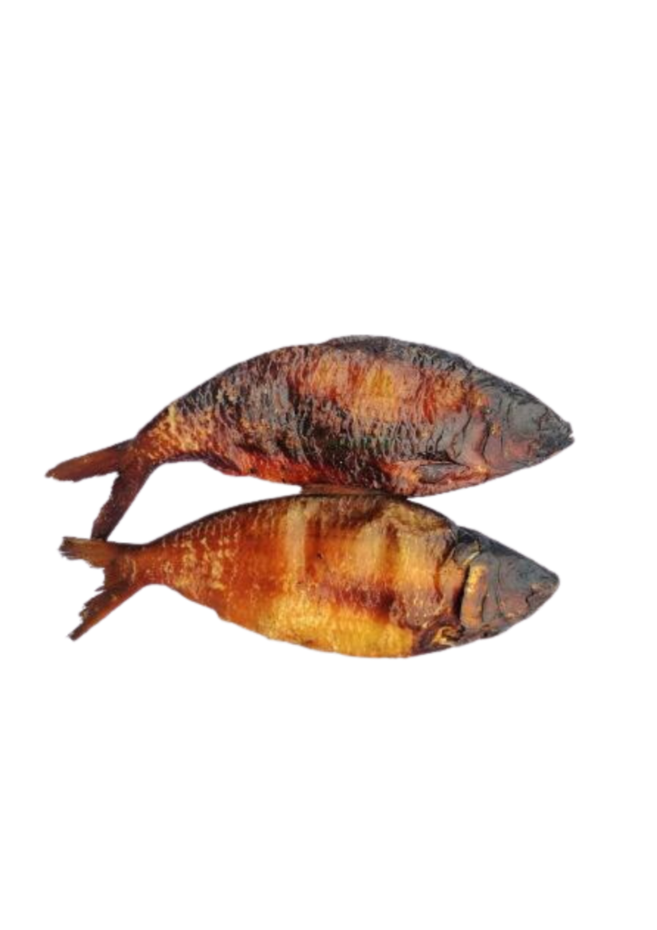 Bonga Fish – Med Tropicals Limited