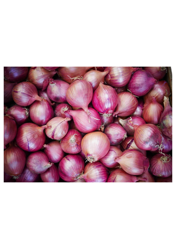 Onions – Med Tropicals Limited