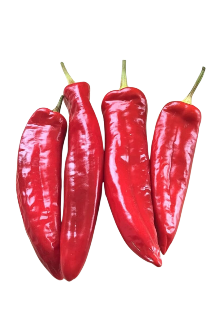 Shepherd pepper – Med Tropicals Limited