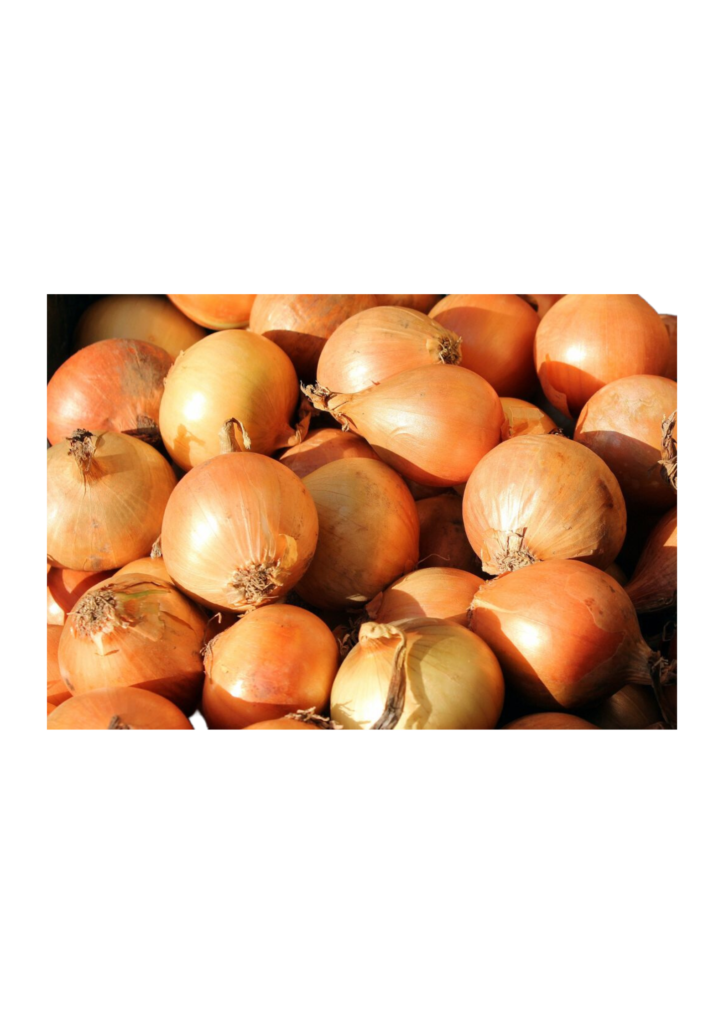 Yellow Onions – Med Tropicals Limited
